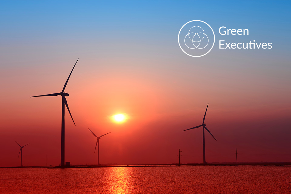 Green Executives - An Executive Search Company for · Green Executives