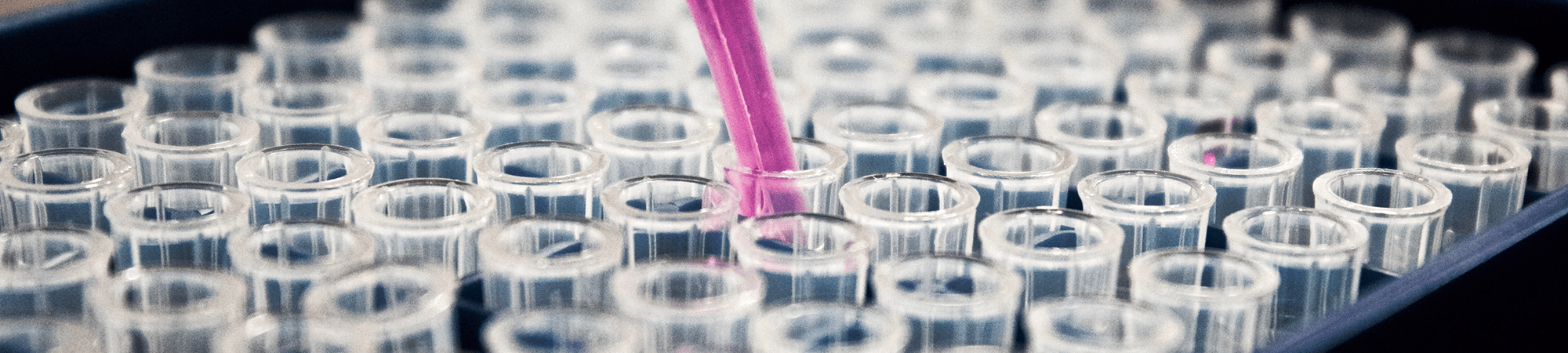 2XM Healthcare · TXM Group